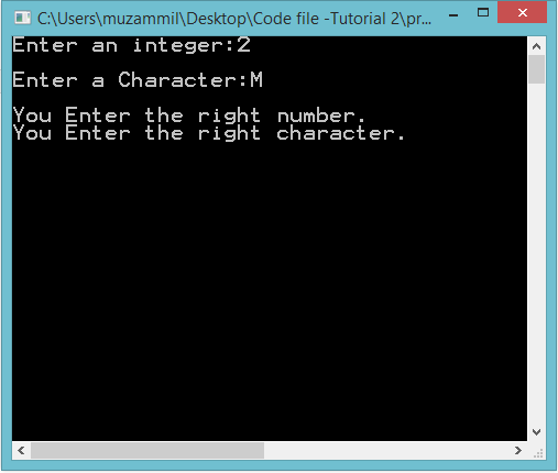 Conditional Statements | SourceCodester